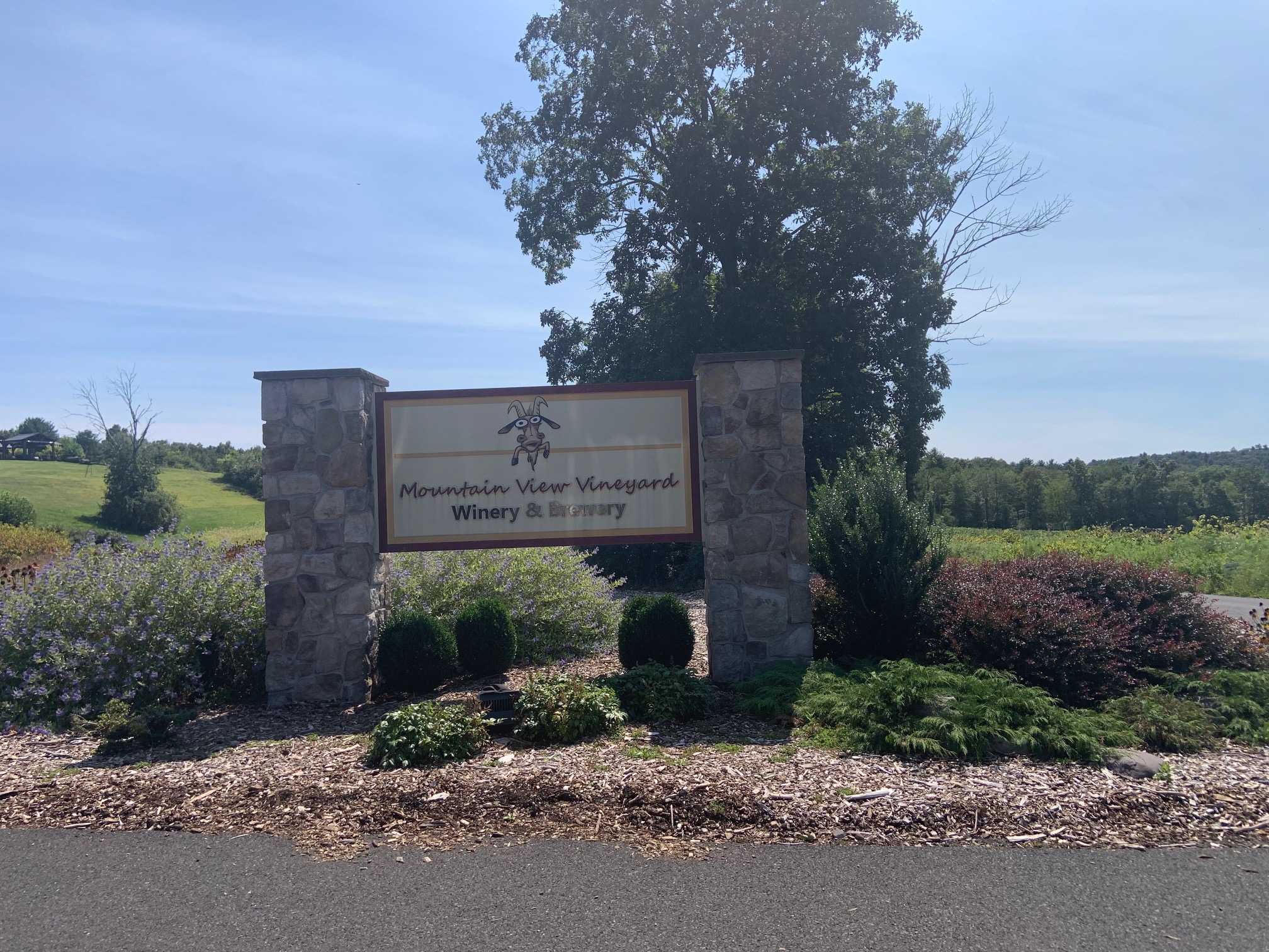 Mountain View Vineyard Celebrates 15 Years in Business - Pocono ...